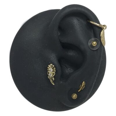 Wildcat Online Piercing Shop - The Wildcat Collection