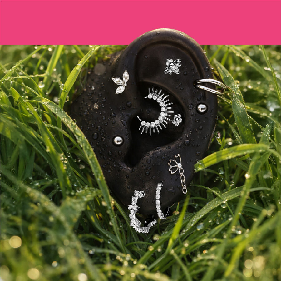 Wildcat Online Piercing Shop - The Wildcat Collection